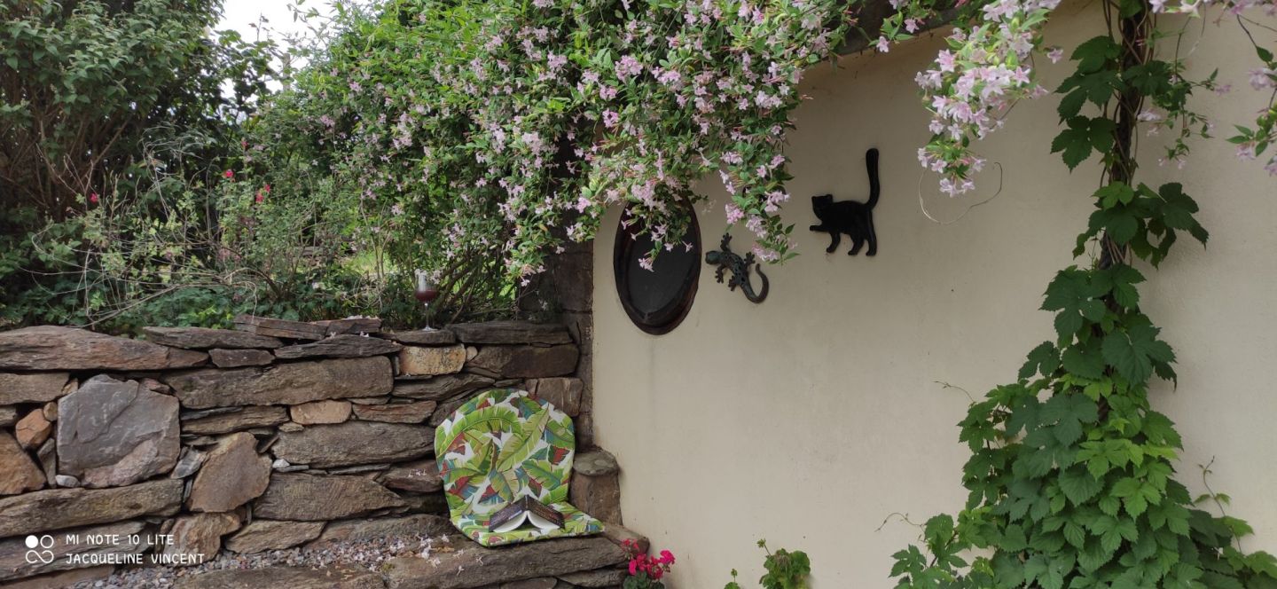 Bees, Butterflies, and Book Nooks: My Sunny Sanctuary – Jacqueline P ...